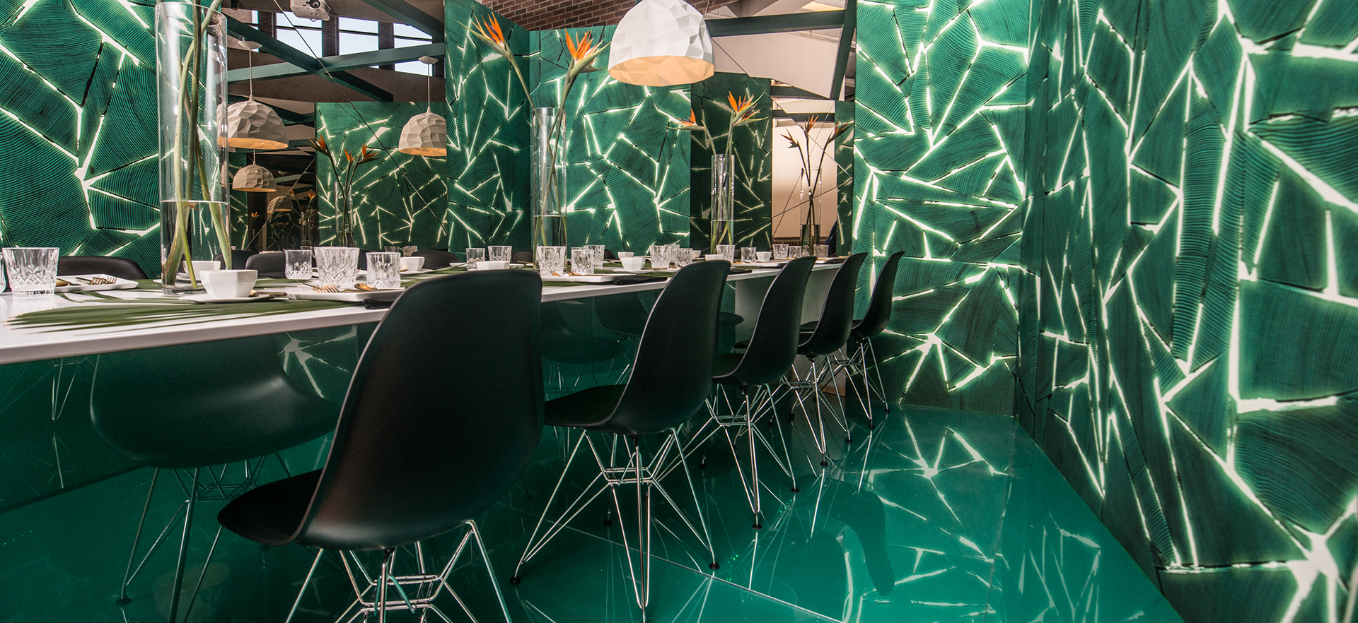 Dinner by Design - Rollout