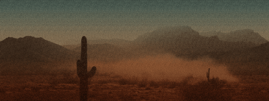 Road Runner - Rollout